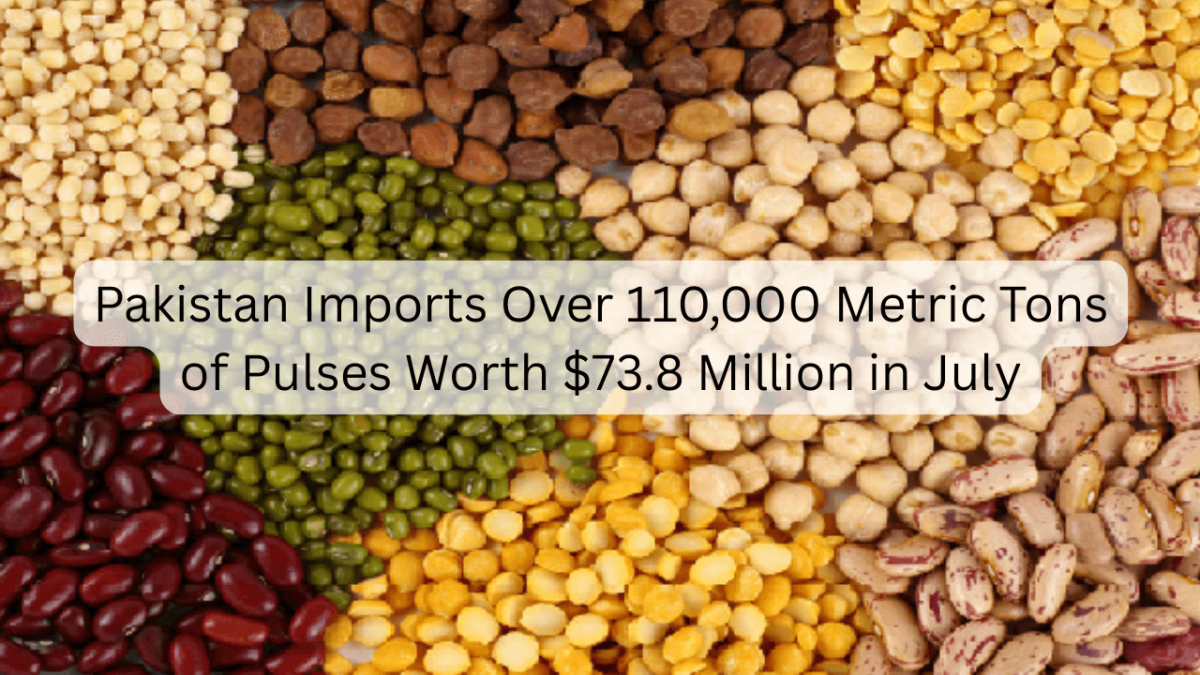 Pakistan Imports Over 110,000 Metric Tons of Pulses Worth $73.8 Million ...